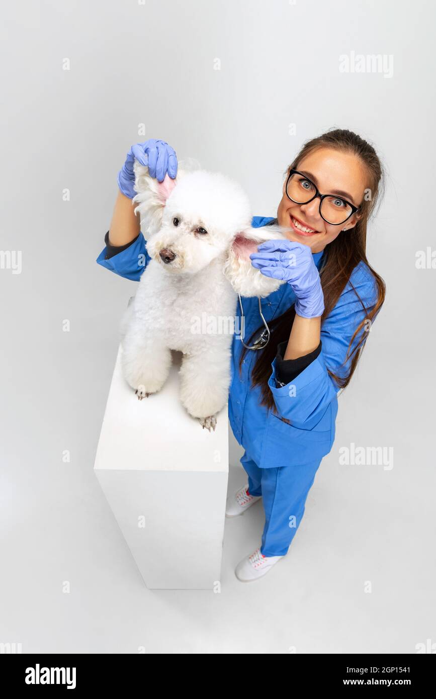 Portrait of young beautiful woman, female veterinary, vet doctor and ...