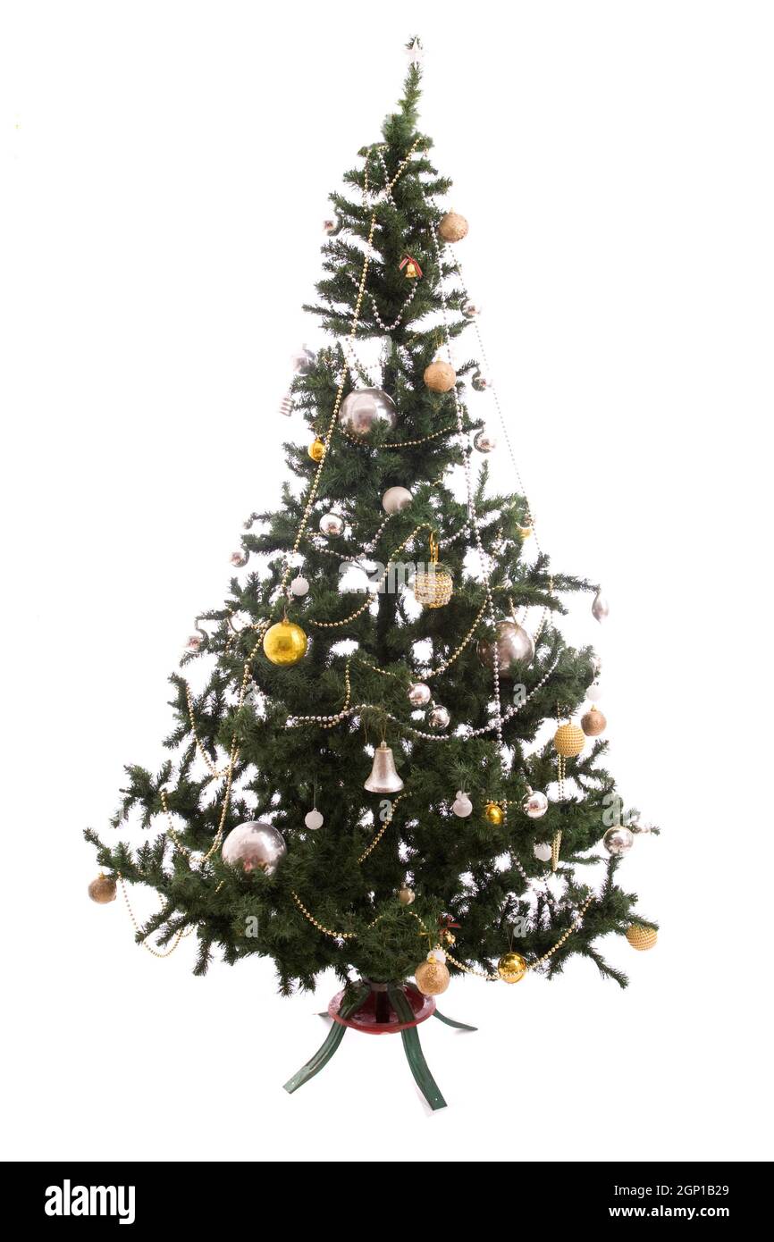 Big Christmas Tree isolated over white background Stock Photo - Alamy
