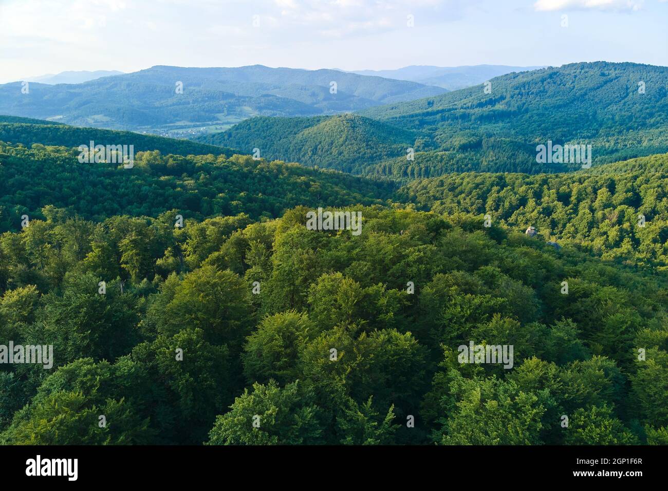 Aerial view of mountain hills covered with dense green lush woods on ...