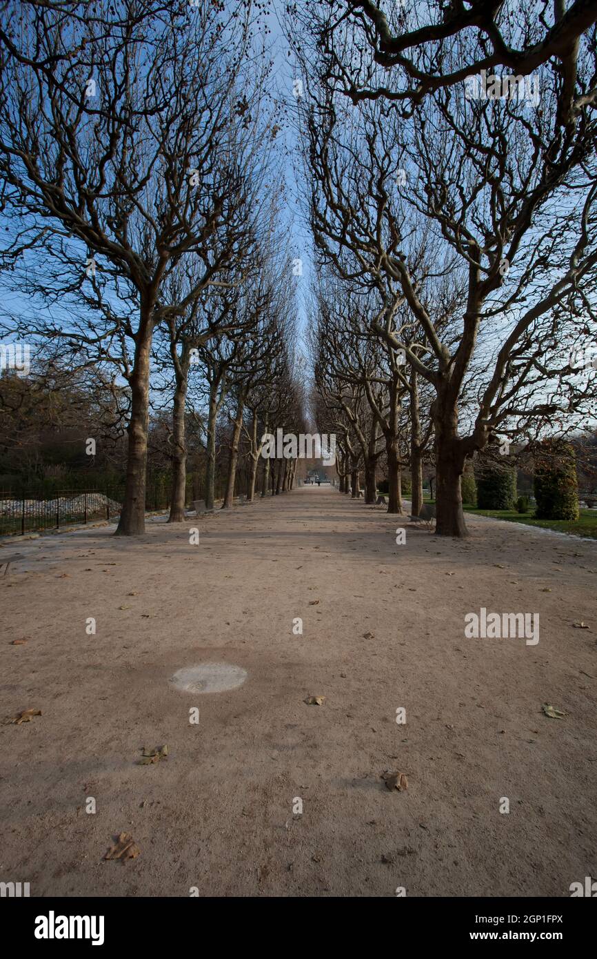 Garden of plants (jardin des plantes) in Paris, France Stock Photo - Alamy