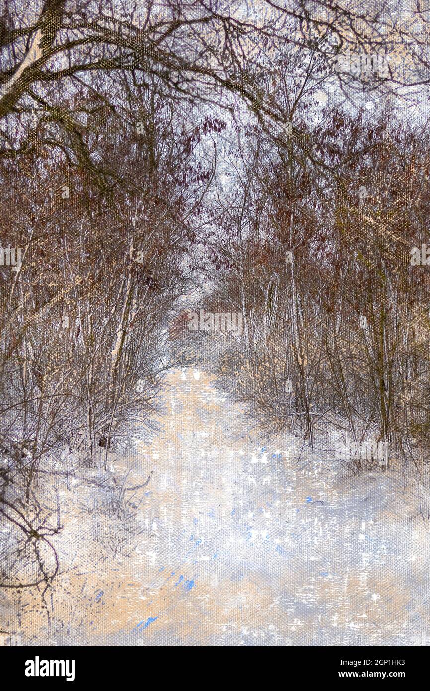 An empty winter park. A path covered with snow among the bushes and ...