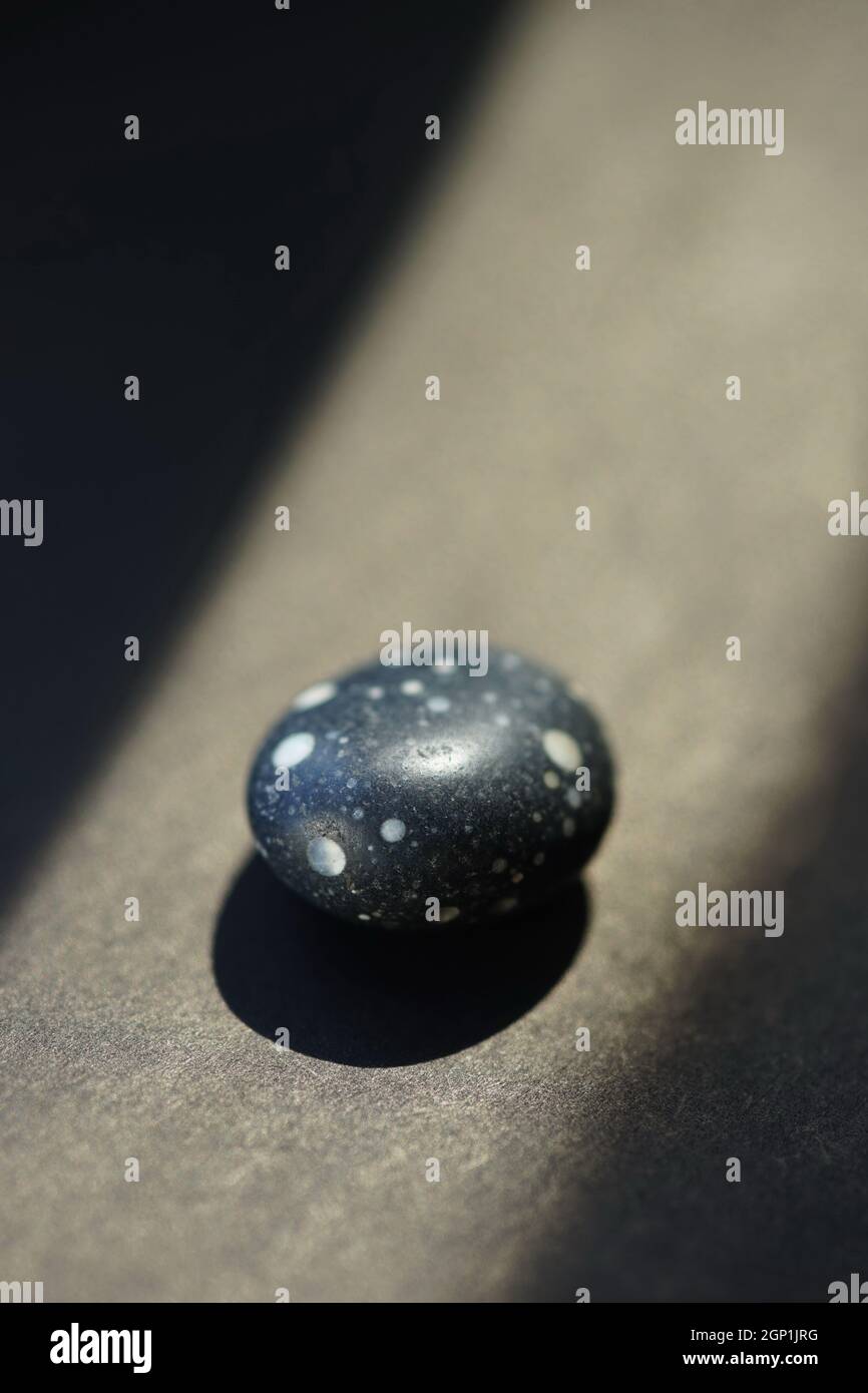 Black pebble stone with white spots on it at black sunny table Stock ...