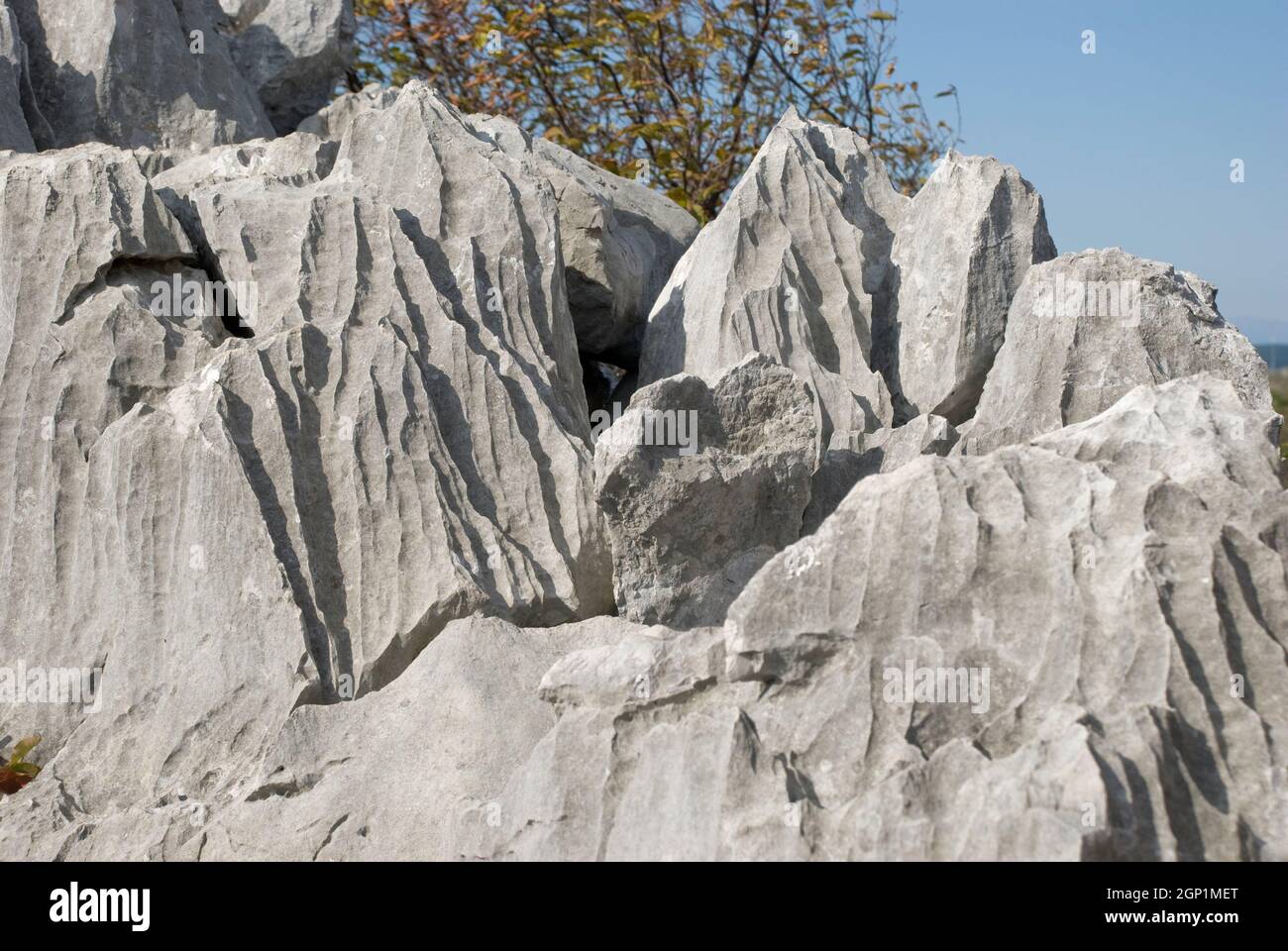 Karst formation on Adriatic coast of Northern Italy Stock Photo - Alamy