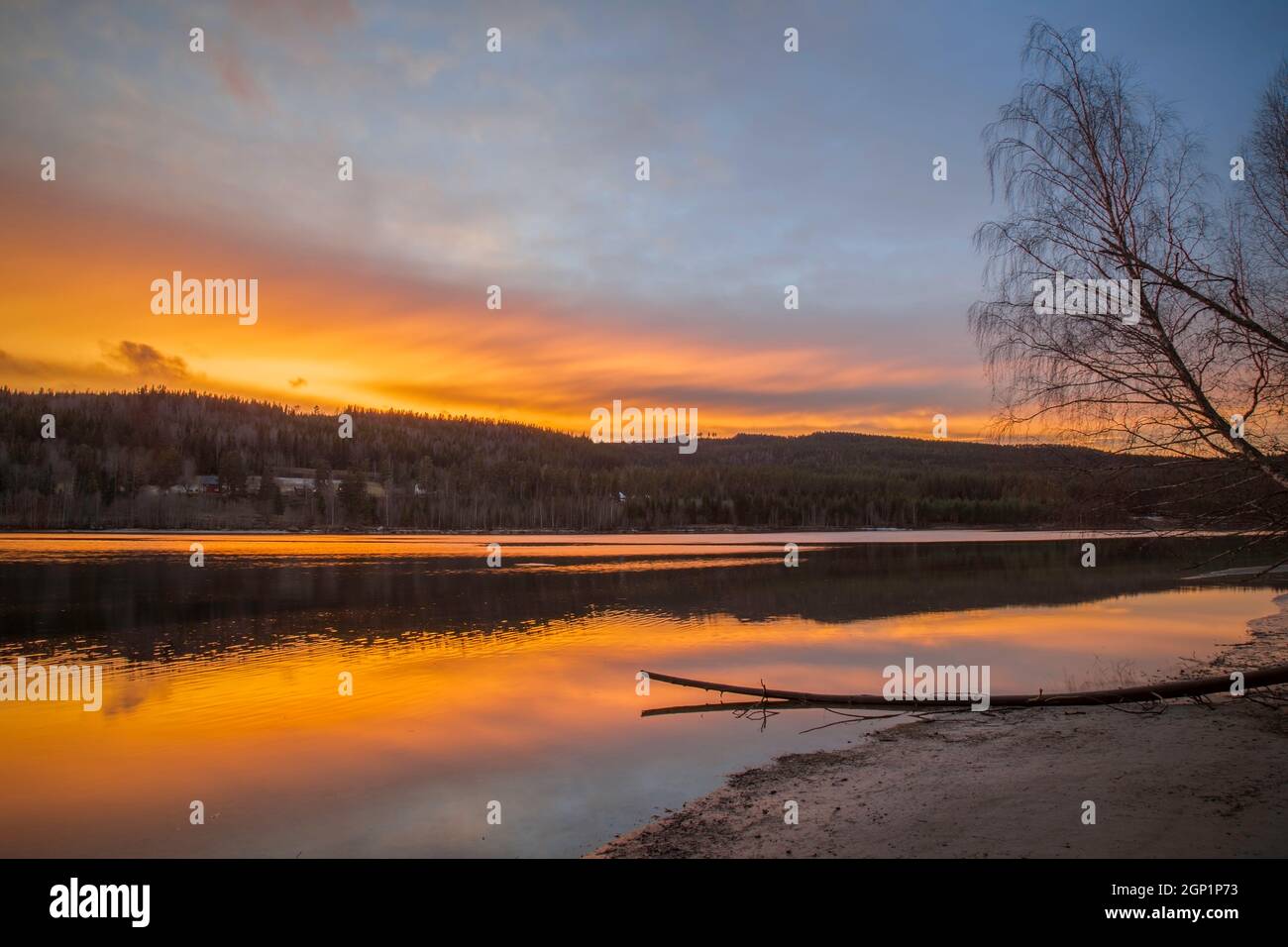beach with rock and river with reflections in a forest, mountain ...