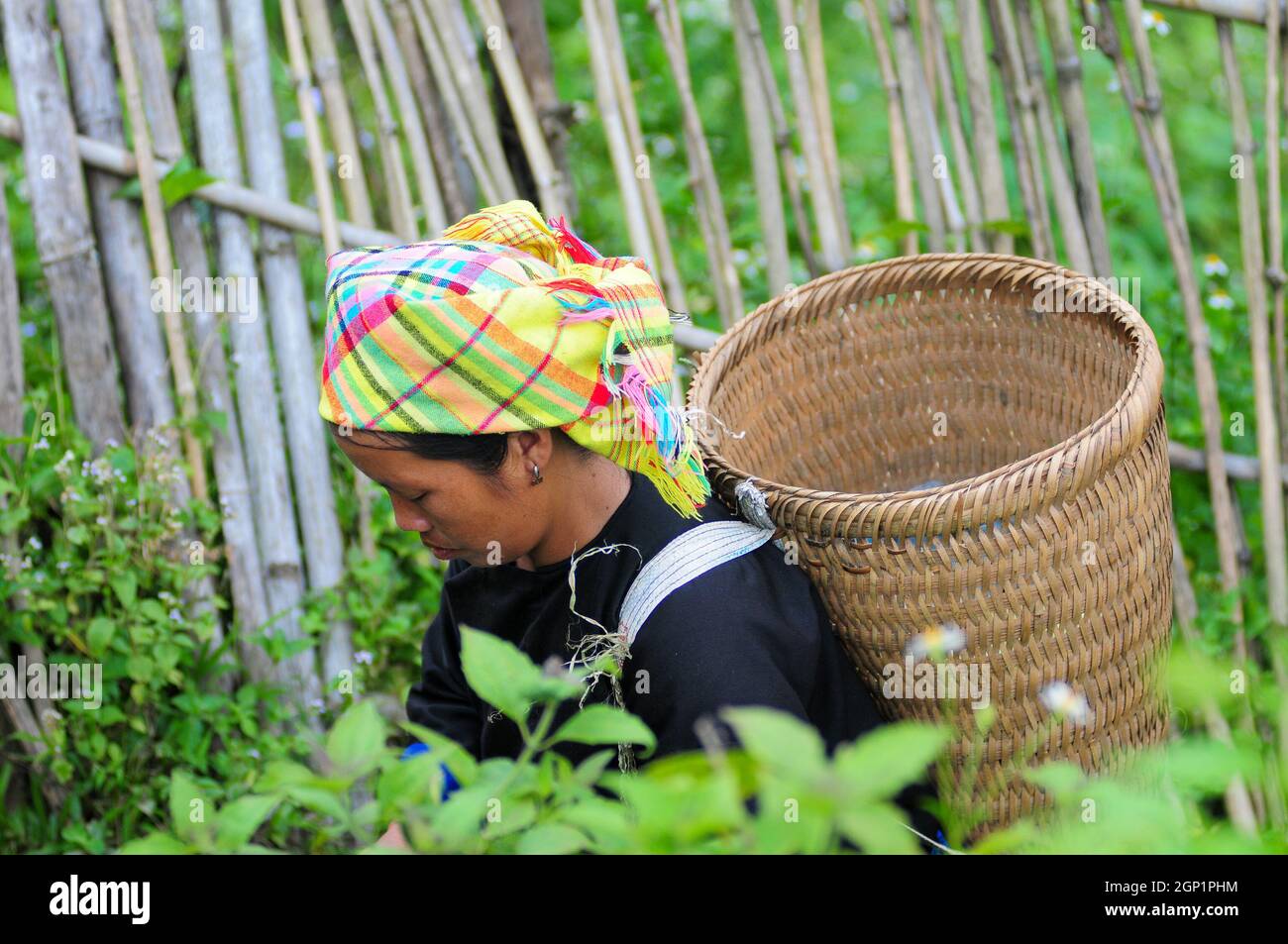 Vietnam sa pa poverty hi-res stock photography and images - Alamy