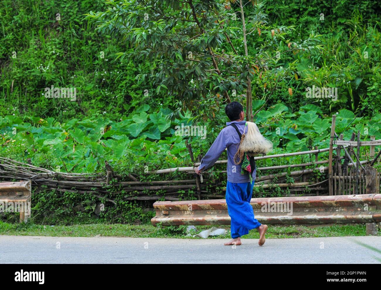 Ethnic Hmong people in a poor village in Sapa, Vietnam Stock Photo - Alamy