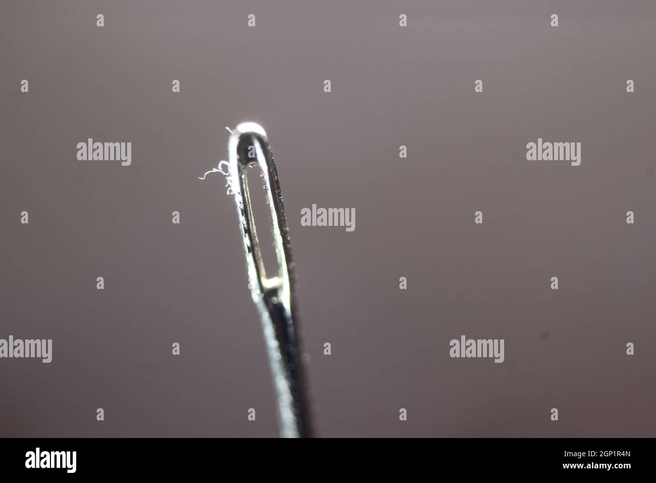 Macro photograph of sewing needle. Small needle with empty eyelet ...