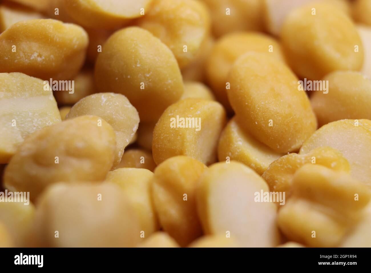 Yellow chickpea lentils seeds macro closeup view. Chana daal or yellow ...