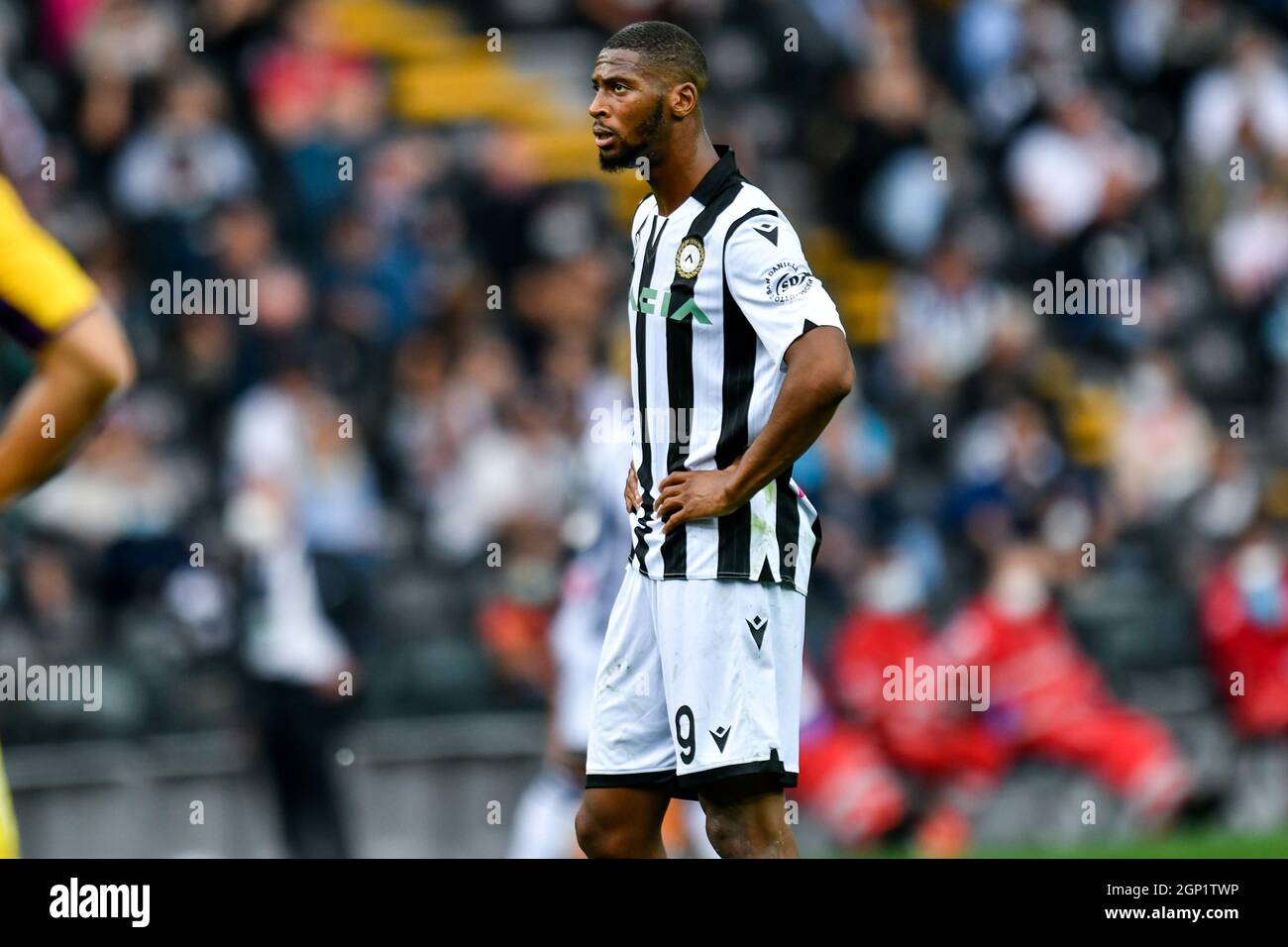 Betuncal norbero beto hi-res stock photography and images - Alamy