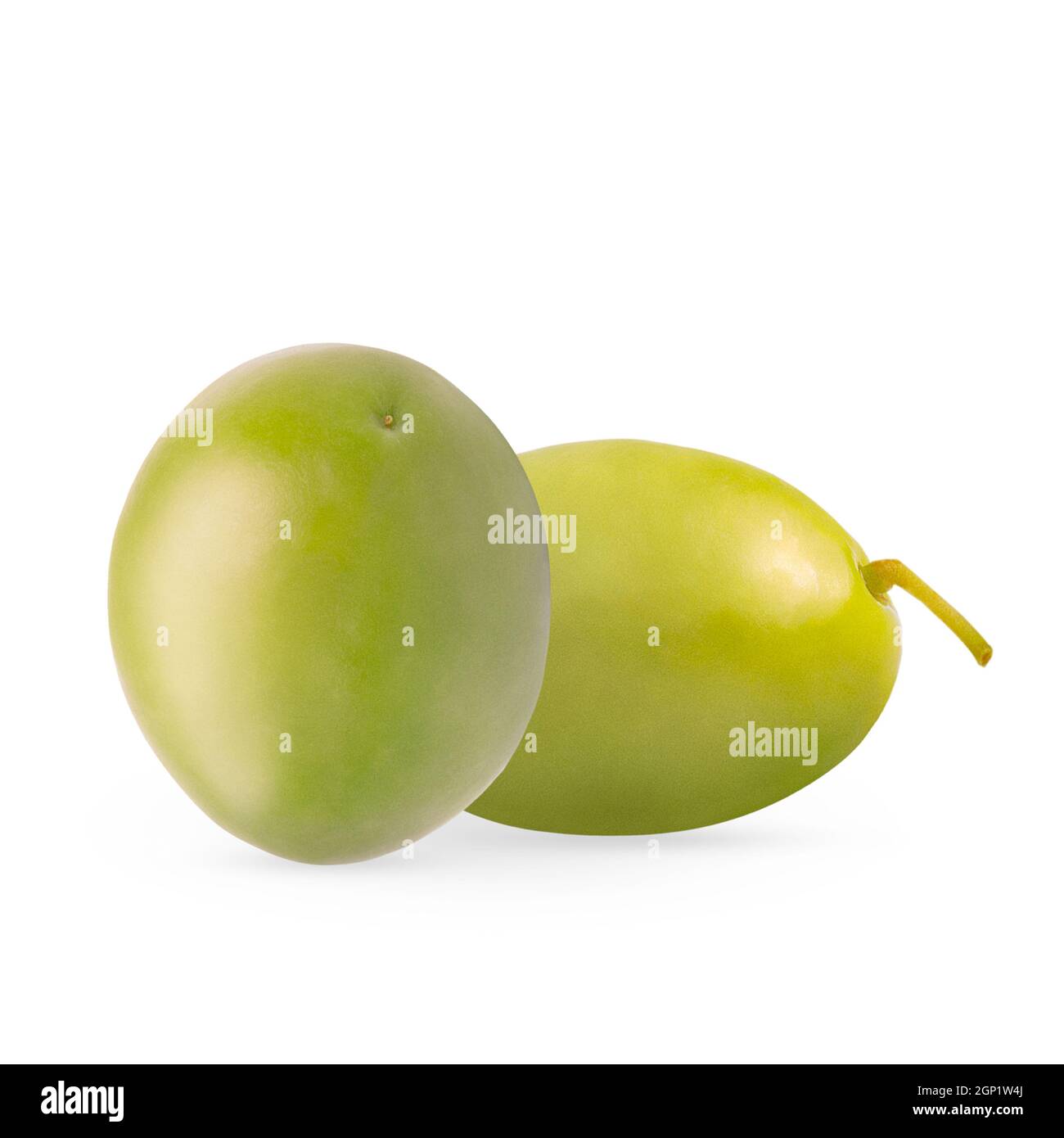 Isolated olives. Two whole green marinated olive isolate on white ...