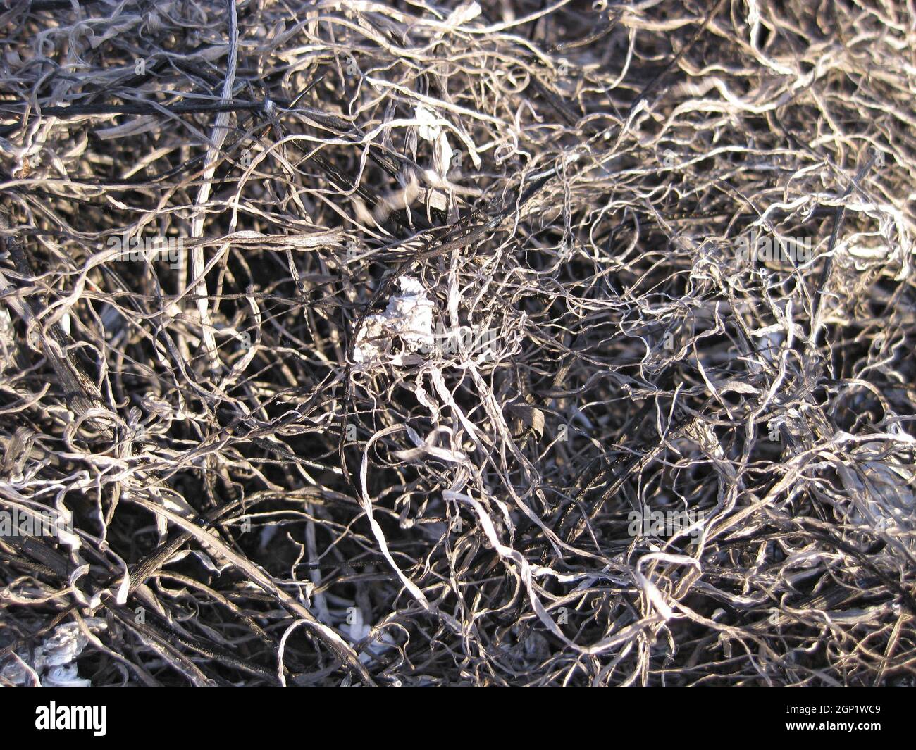 Background from the ashes of the burnt grass. Plant ash on the field ...