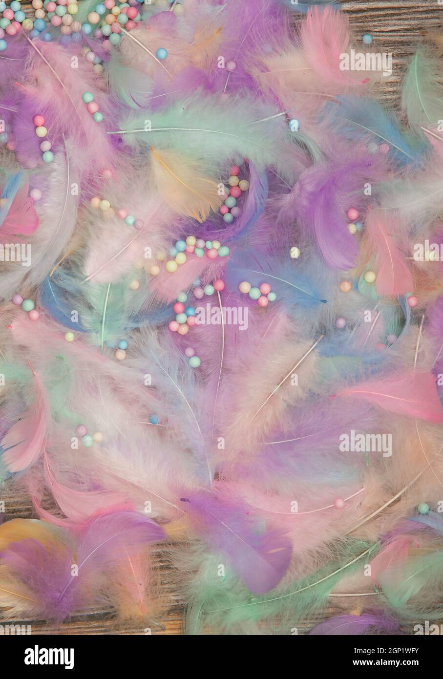 Pastel colored Feathers top view background, bright colorful modern ...
