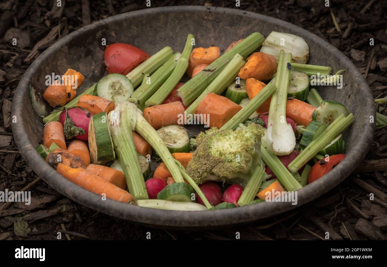 Closeup shot of an assortment of cut vegetables in a bowl Stock Photo ...