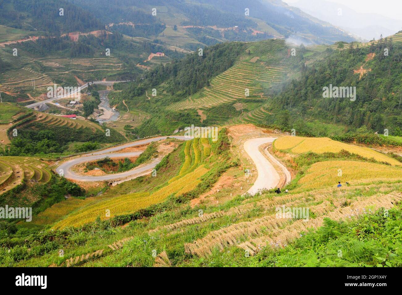 Terraced rice field in Sapa, Vietnam. Sapa terraced fields are one of ...