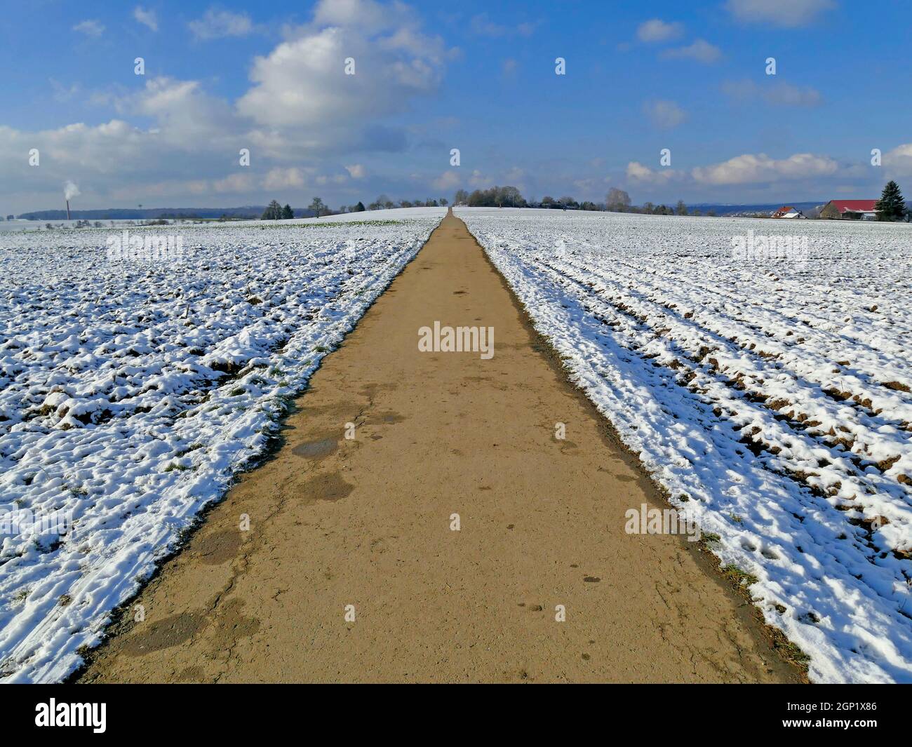 long straight way through fields with snow in Germany Stock Photo - Alamy