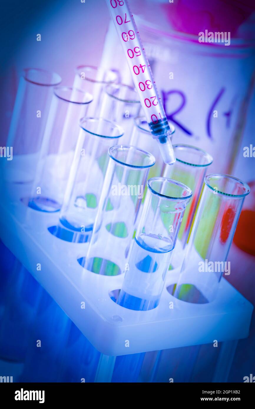 test tubes and flasks with colored liquid in a laboratory Stock Photo ...