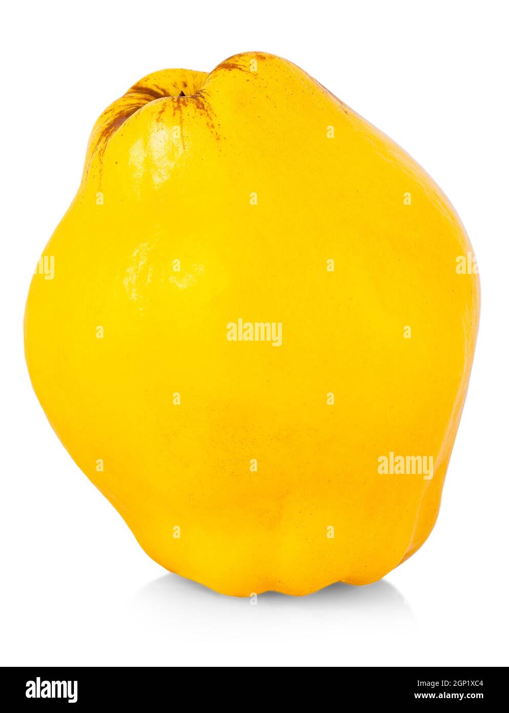 The fresh yellow quince isolated white background Stock Photo - Alamy