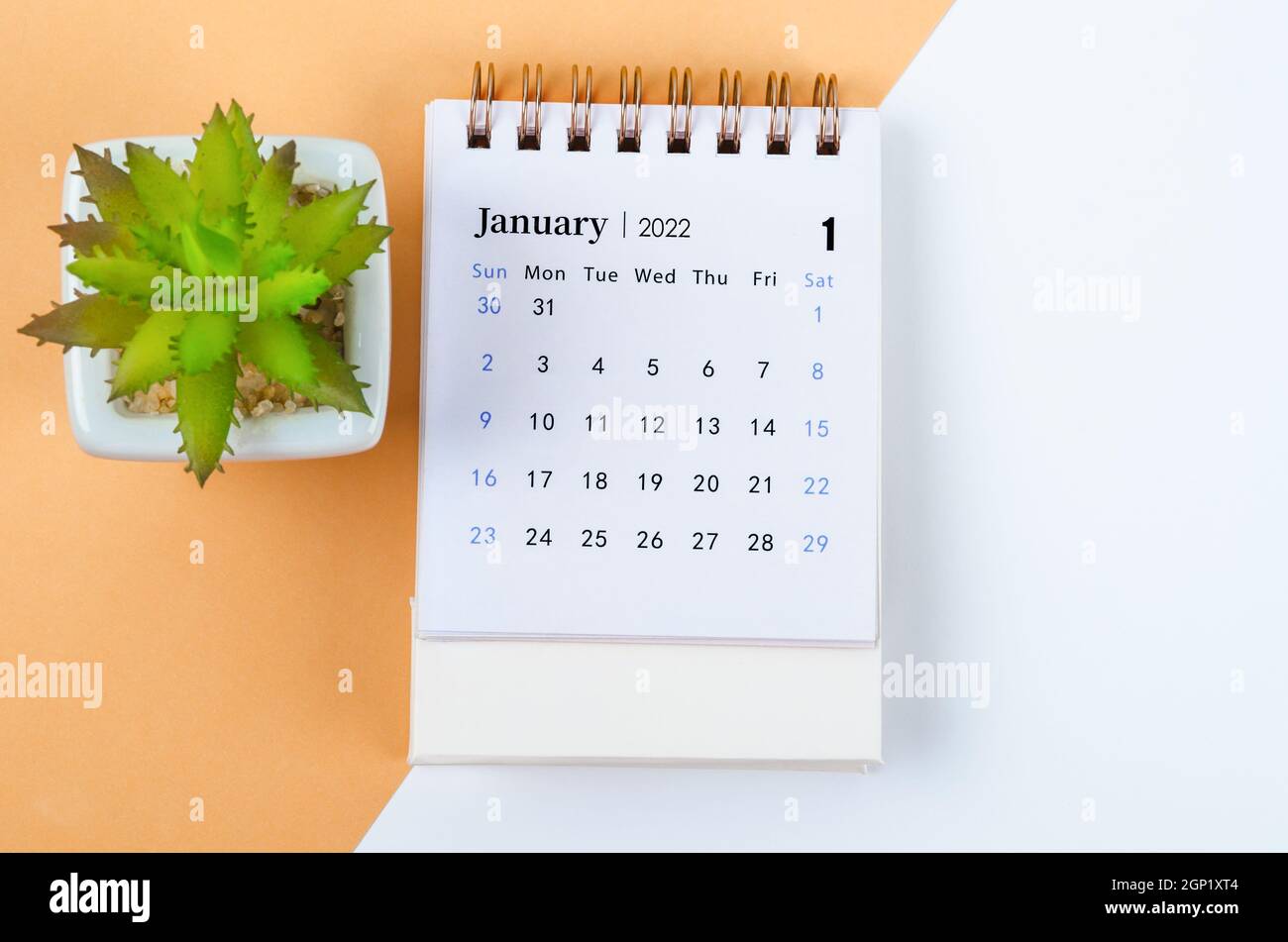 January 2022 desk calendar with tree pot Stock Photo - Alamy