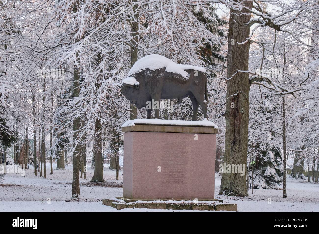 Tsar hunting memorial monument replica in winter, Bialowieza Forest ...