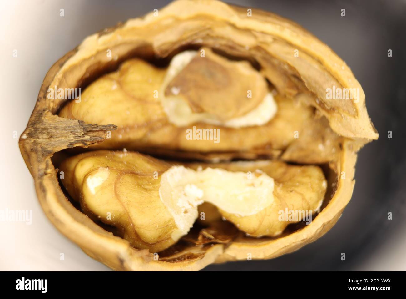 nut seed healthy natural food healthy shell Stock Photo - Alamy