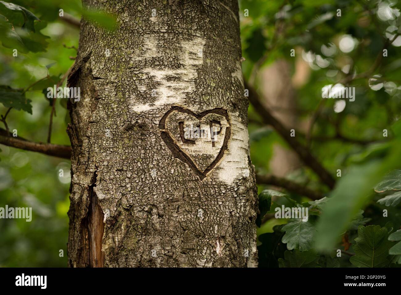 Engraved letters hi-res stock photography and images - Alamy