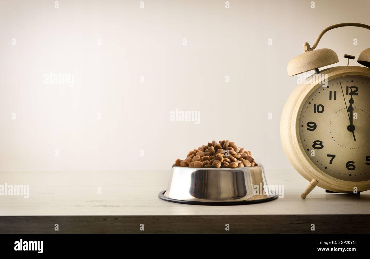 Time to eat with bowl full of dry pet food and clock beside it on ...