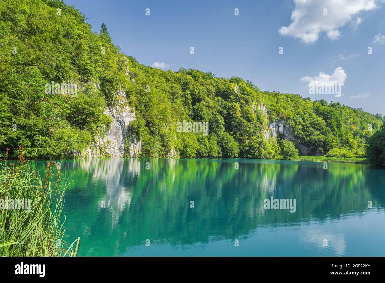 Panoramic view with tall cliff covered in trees and turquoise coloured ...