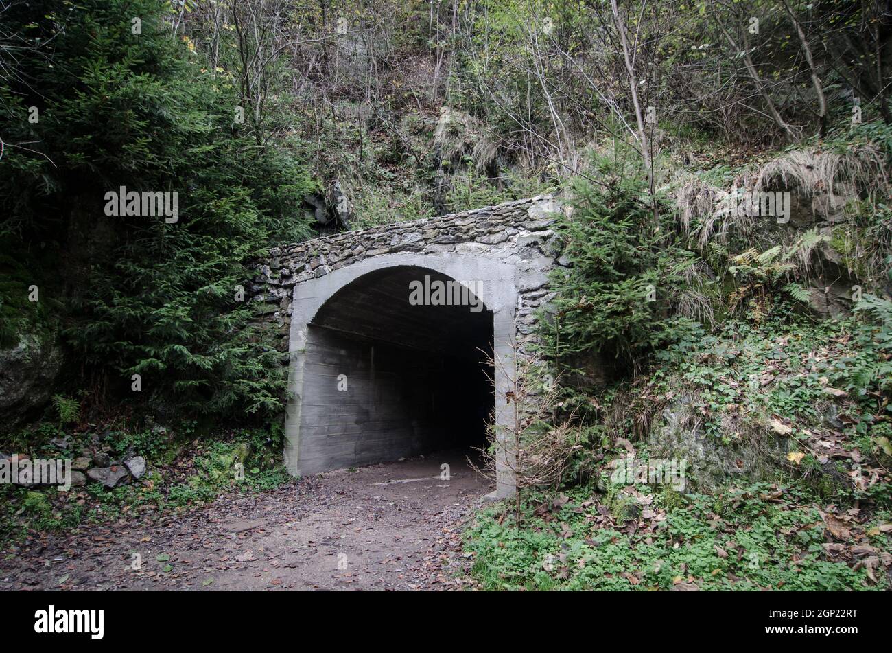 Sowie Mountains, Lower Silesia, Poland, October 18, 2014. In WWII the ...