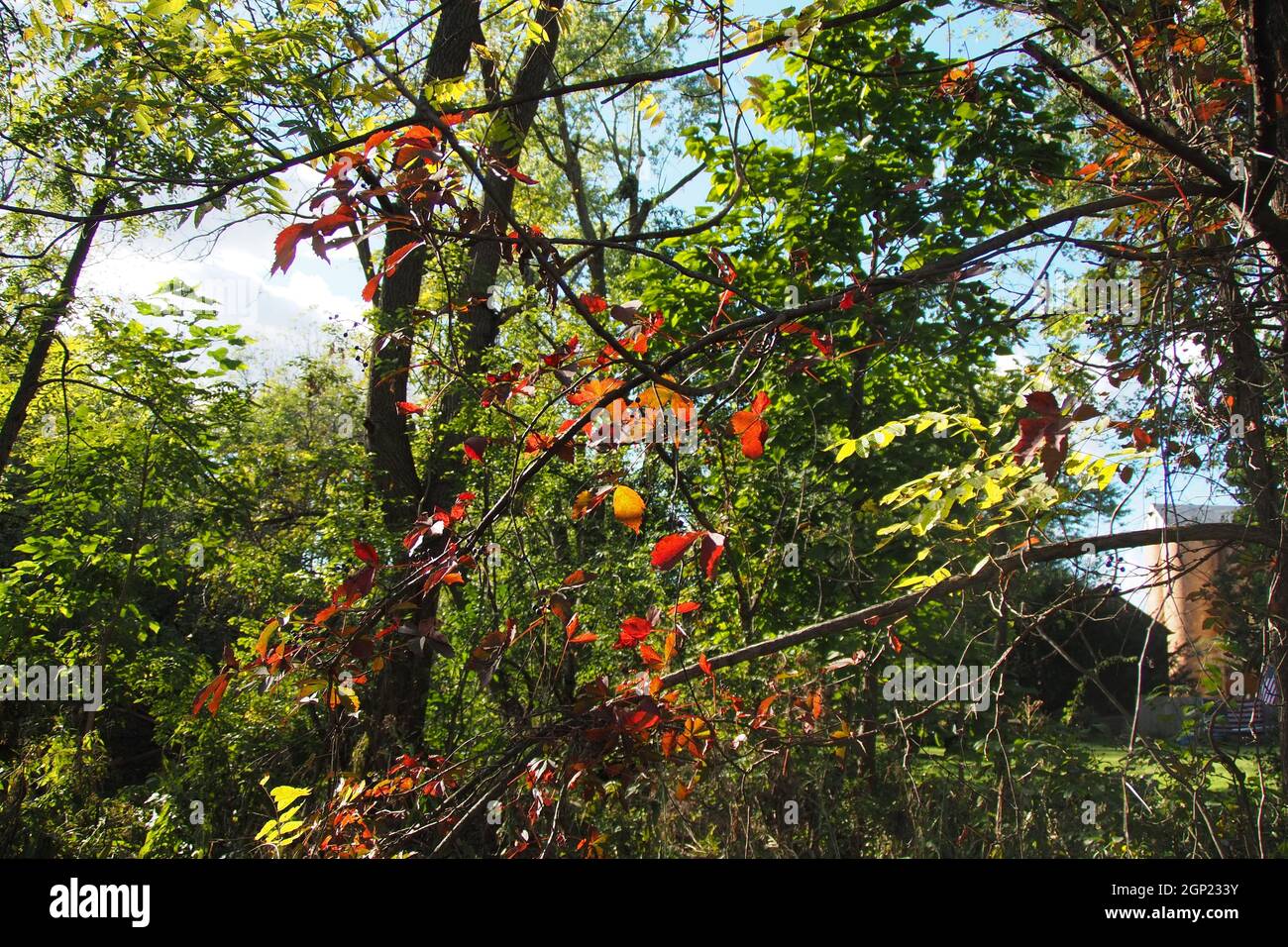 Spring is a beautiful time of the year Stock Photo - Alamy