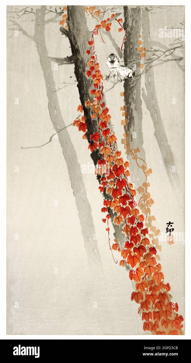 Red ivy (1900 - 1930) by Ohara Koson (1877-1945 Stock Photo - Alamy