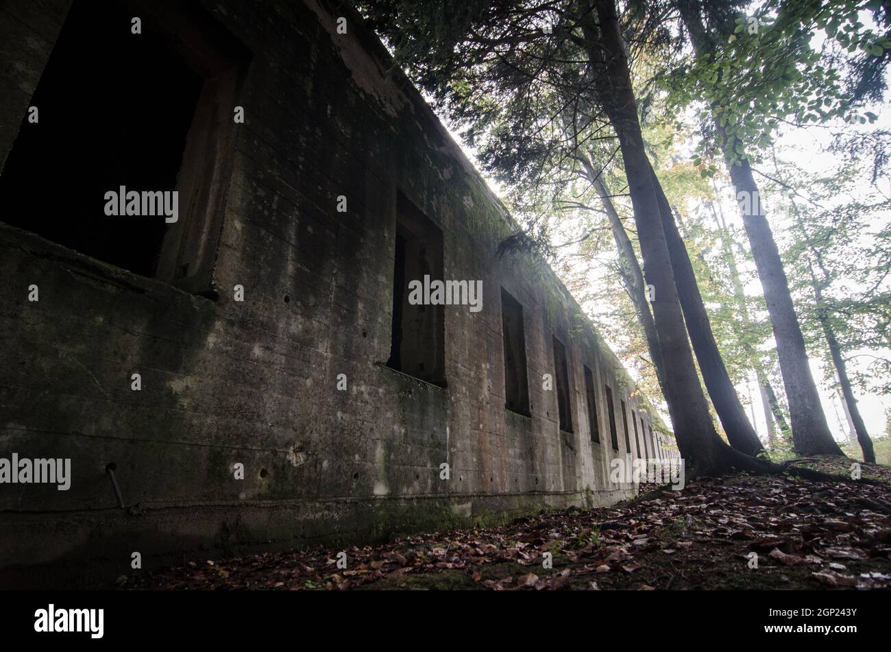 Sowie Mountains, Lower Silesia, Poland, October 18, 2014. In WWII the ...