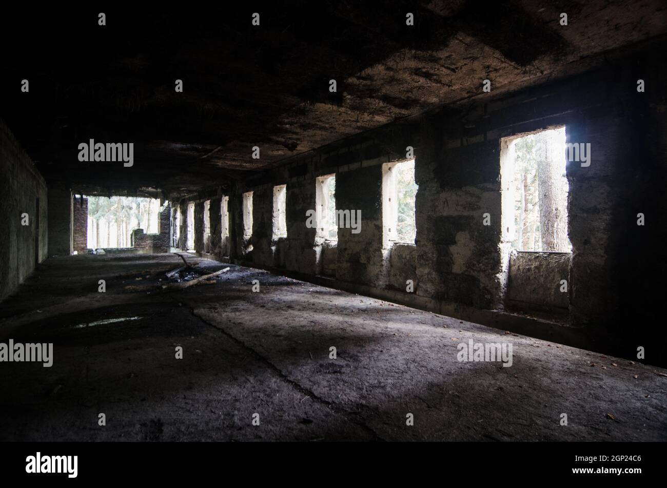 Sowie Mountains, Lower Silesia, Poland, October 18, 2014. In WWII the ...