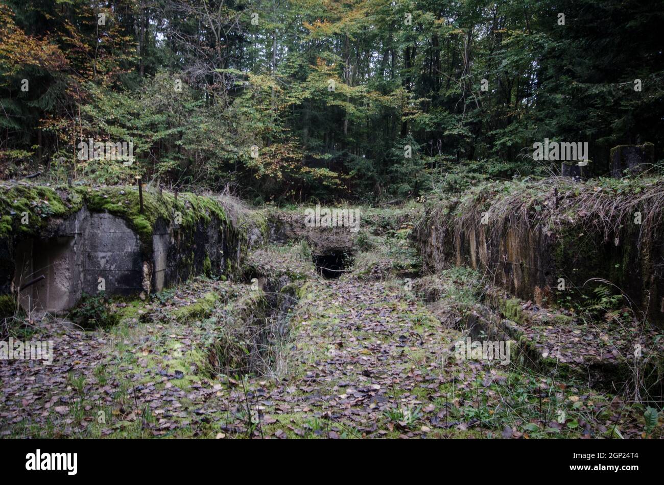 Sowie Mountains, Lower Silesia, Poland, October 18, 2014. In WWII the ...