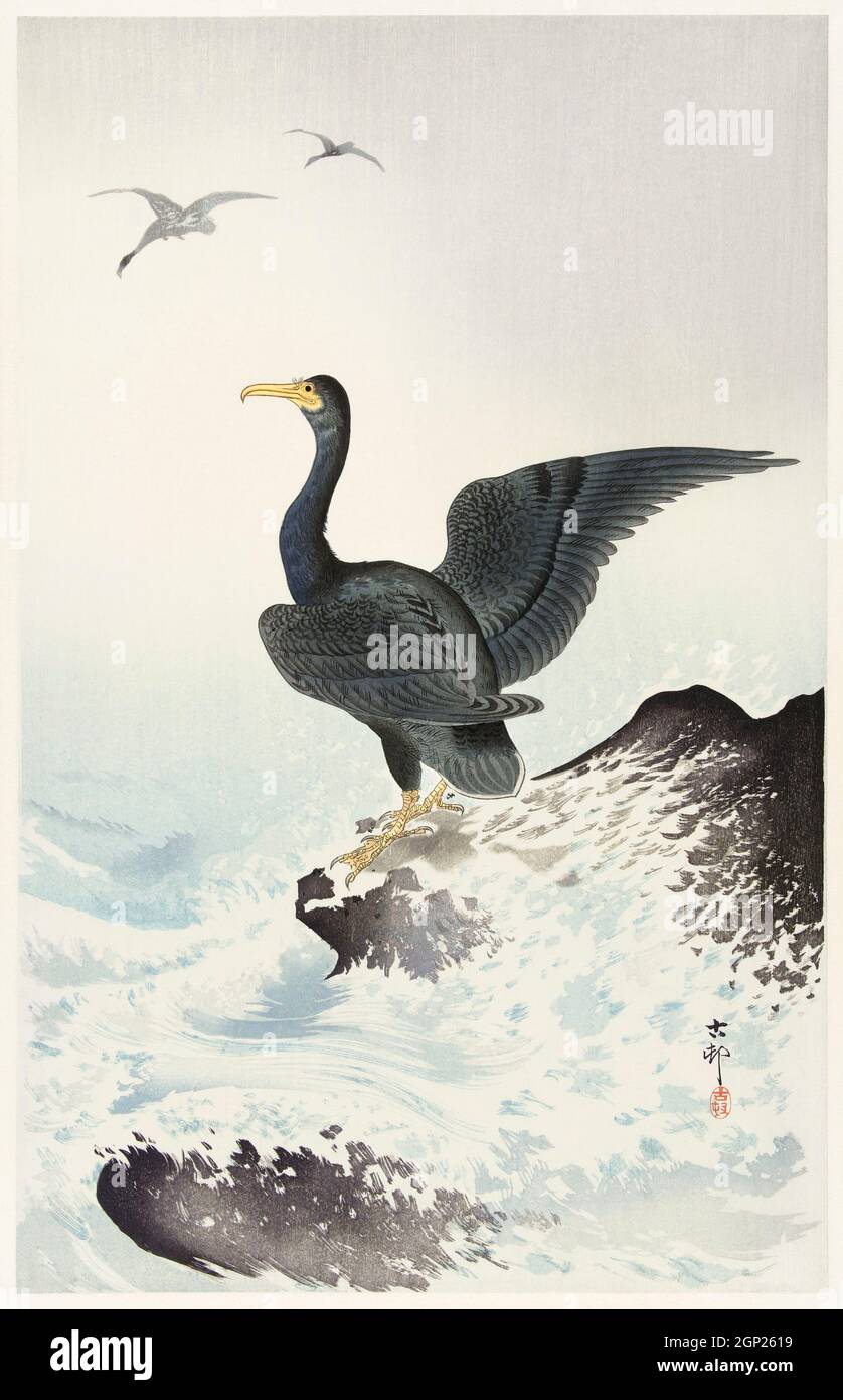 Red mask cormorant on rock (1900 - 1936) by Ohara Koson (1877-1945 ...