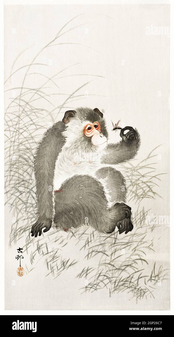 Monkey with insect (1900 - 1930) by Ohara Koson (1877-1945 Stock Photo ...