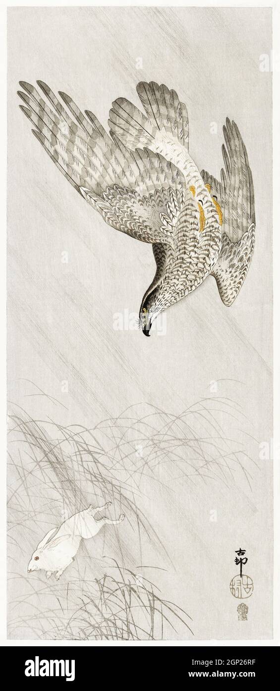Hawk hunting a hare (1900 - 1910) by Ohara Koson (1877-1945 Stock Photo ...