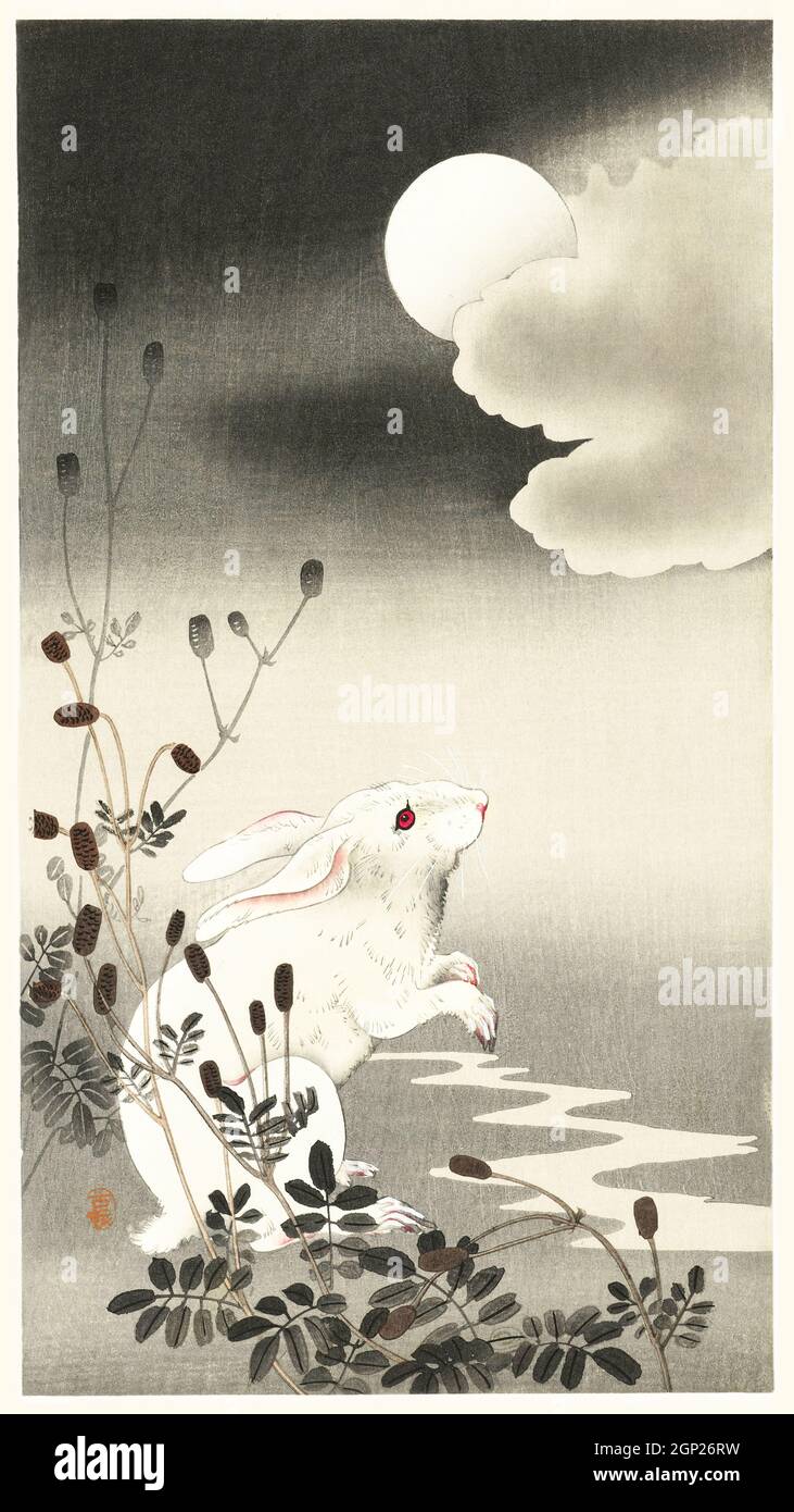 Japanese Rabbit On The Moon