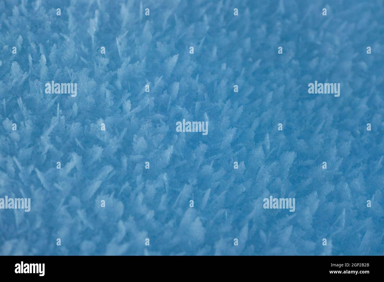 Season texture hi-res stock photography and images - Alamy