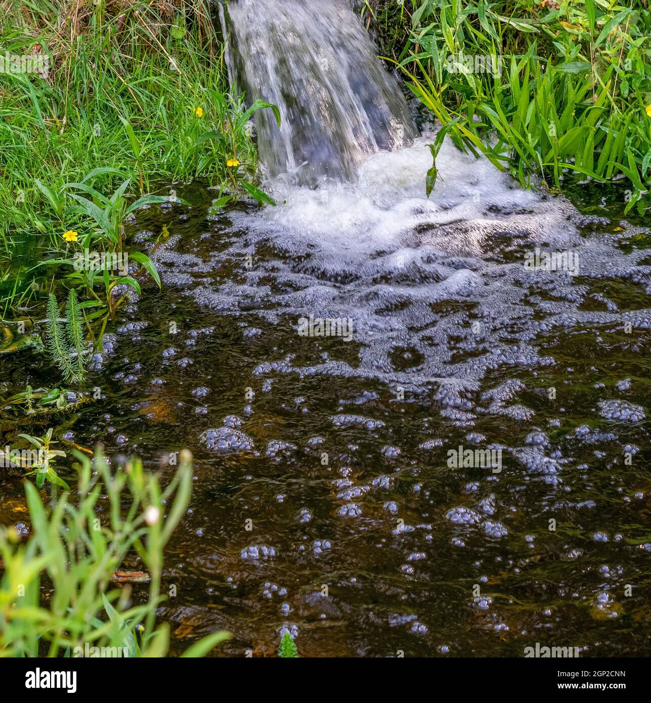 water flowing in a small pond in sunny ambiance Stock Photo - Alamy