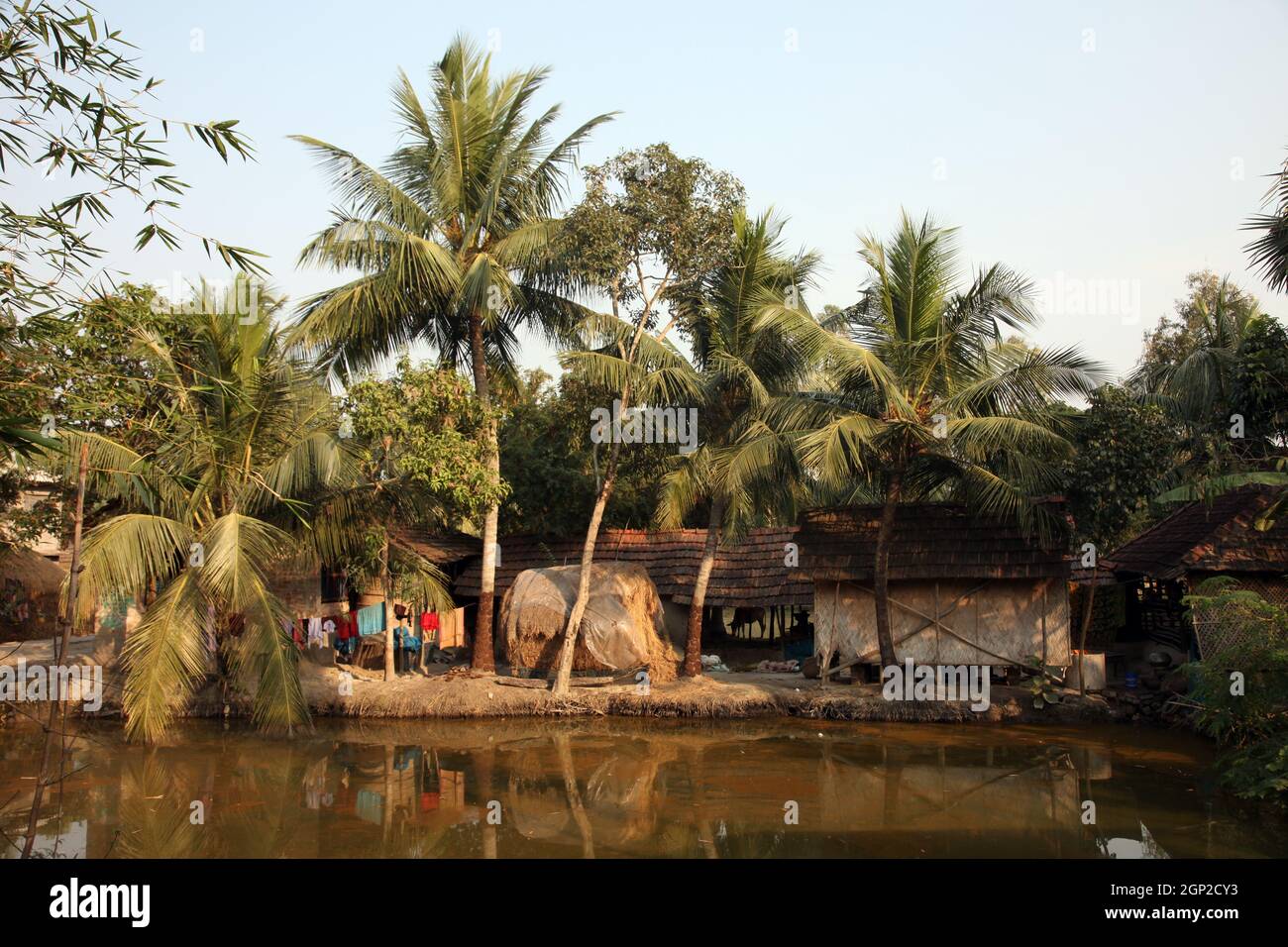 Bengali village hi-res stock photography and images - Alamy