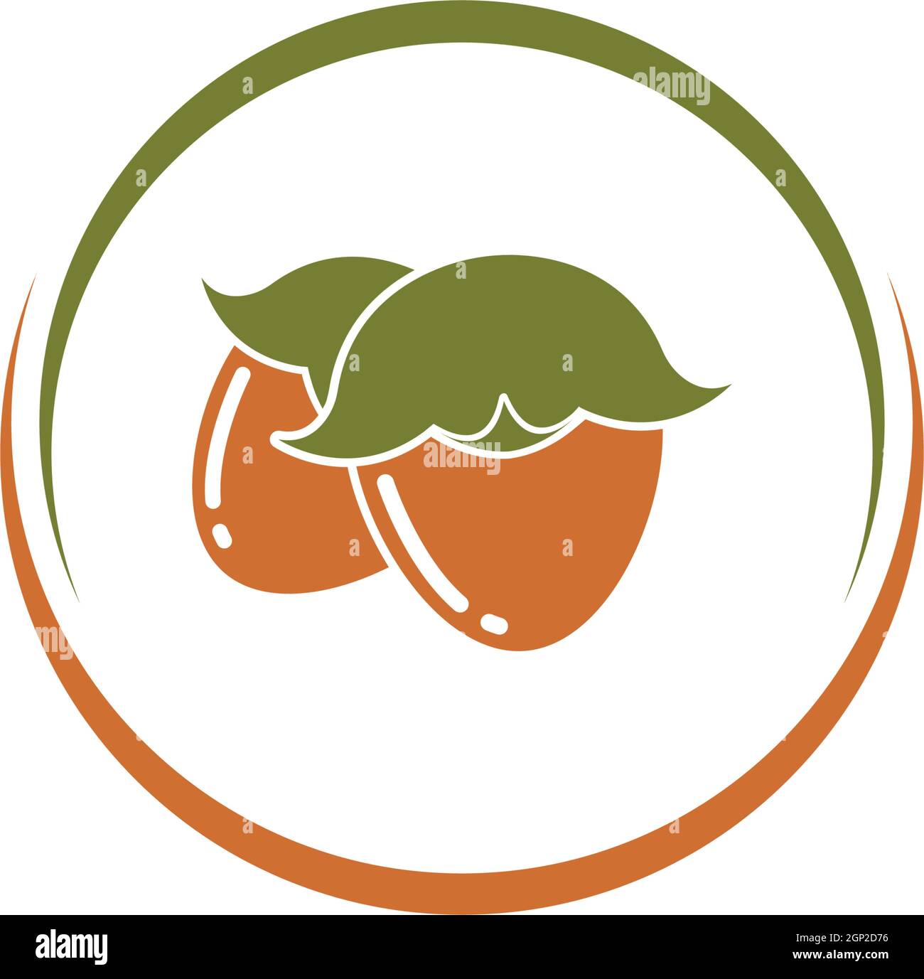 jojoba nuts vector illustration design Stock Vector Image & Art - Alamy