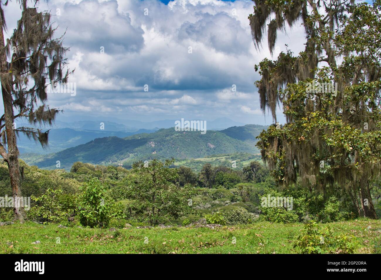 Reserva natural miraflor hi-res stock photography and images - Alamy