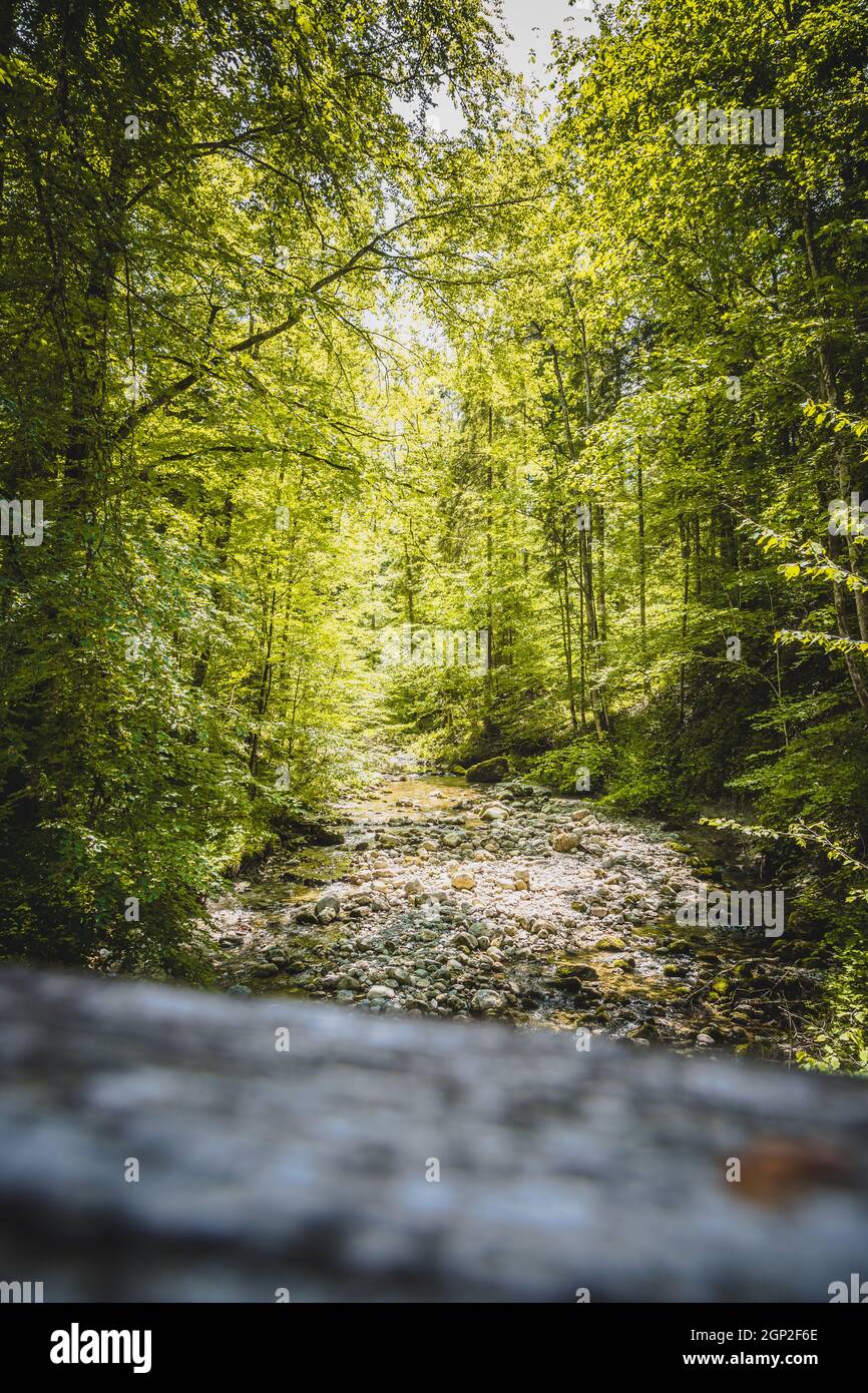 Beautiful idyllic river and forest landscape in the Alps, Austria ...