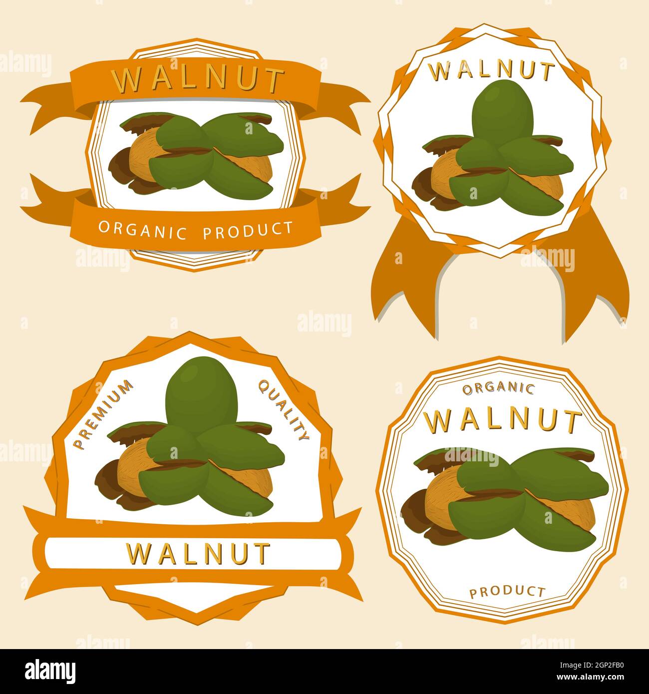 Open nutshell Stock Vector Images - Alamy