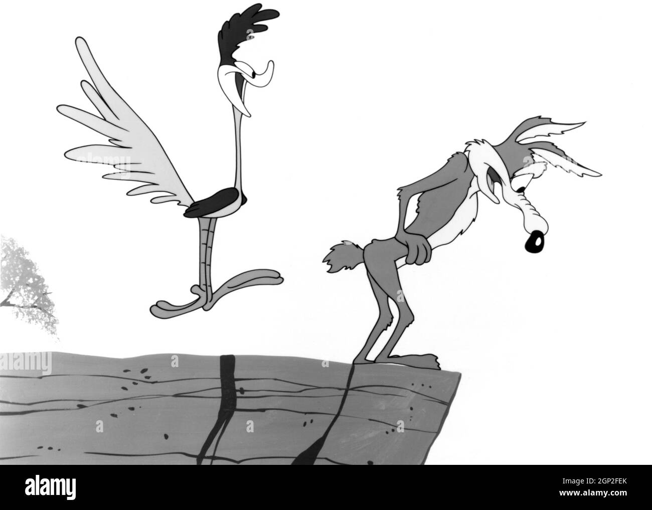 Road runner cartoon character Black and White Stock Photos & Images - Alamy