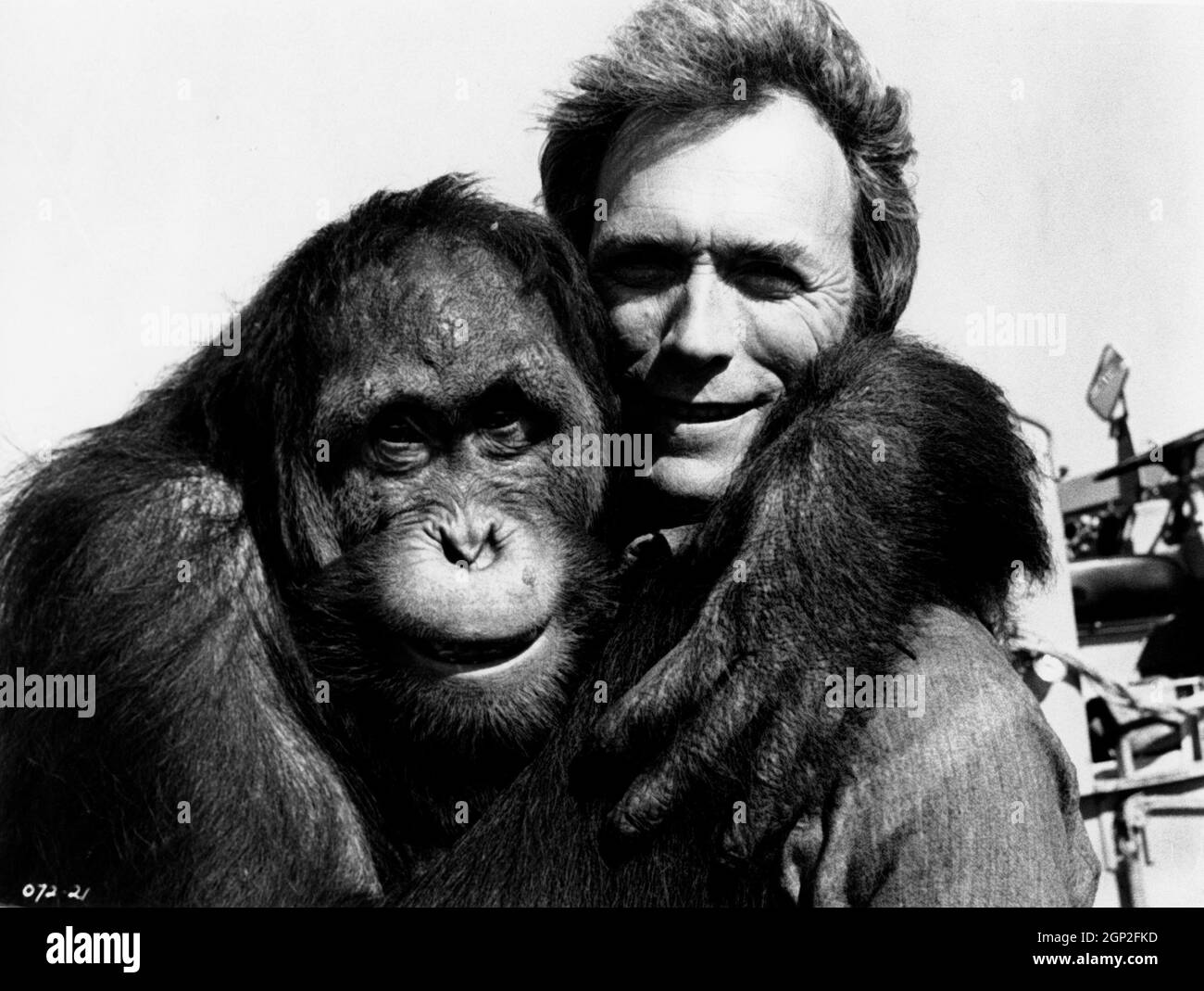 EVERY WHICH WAY BUT LOOSE, from left: Clyde the Orangutan, Clint ...