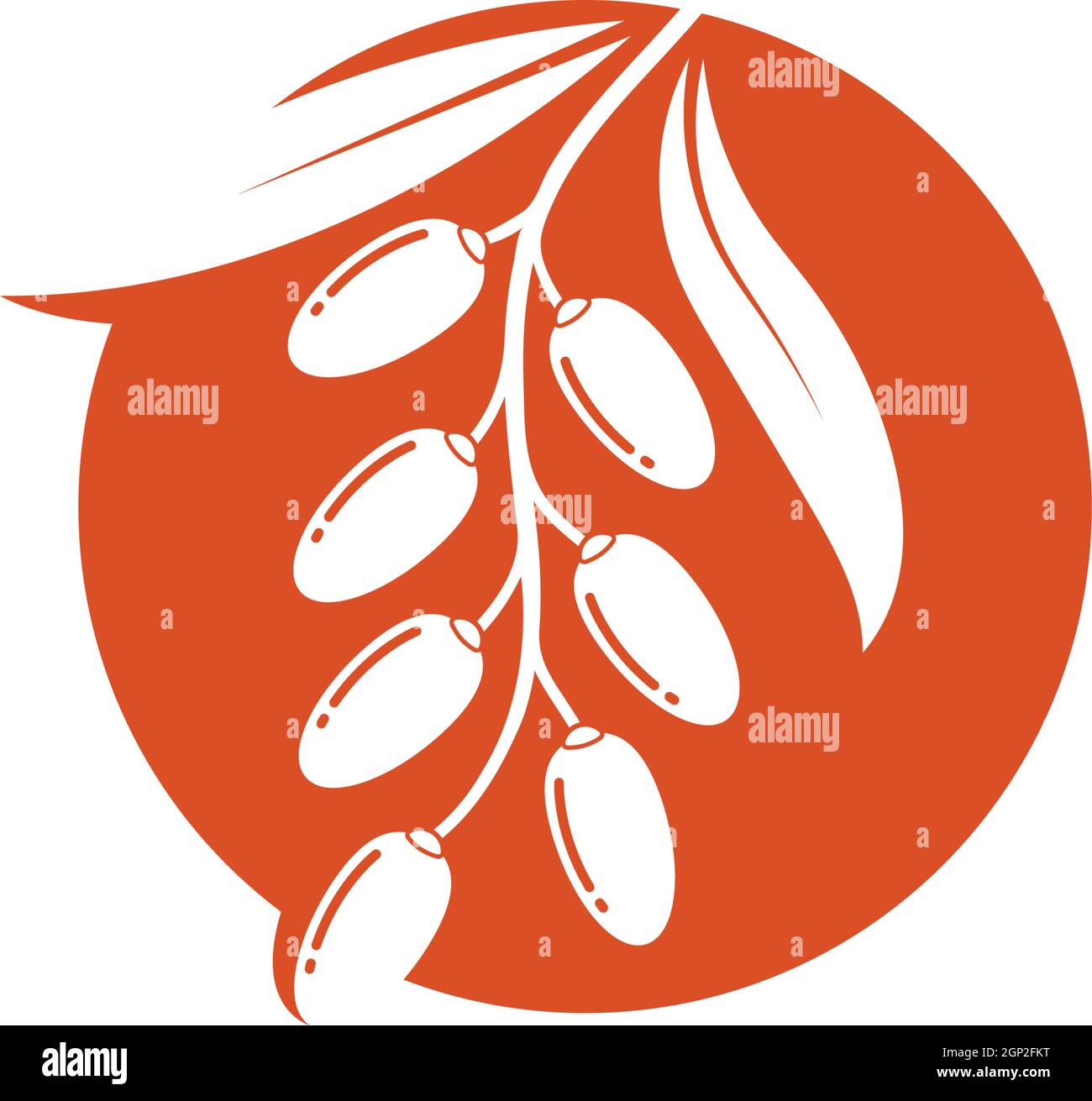 Date palm fruit Stock Vector Images - Alamy