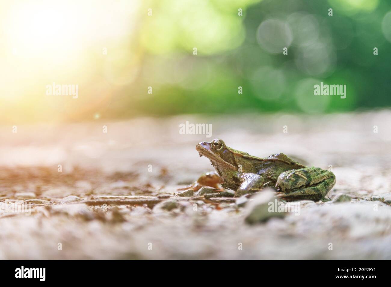Sunbeam on the floor hi-res stock photography and images - Alamy