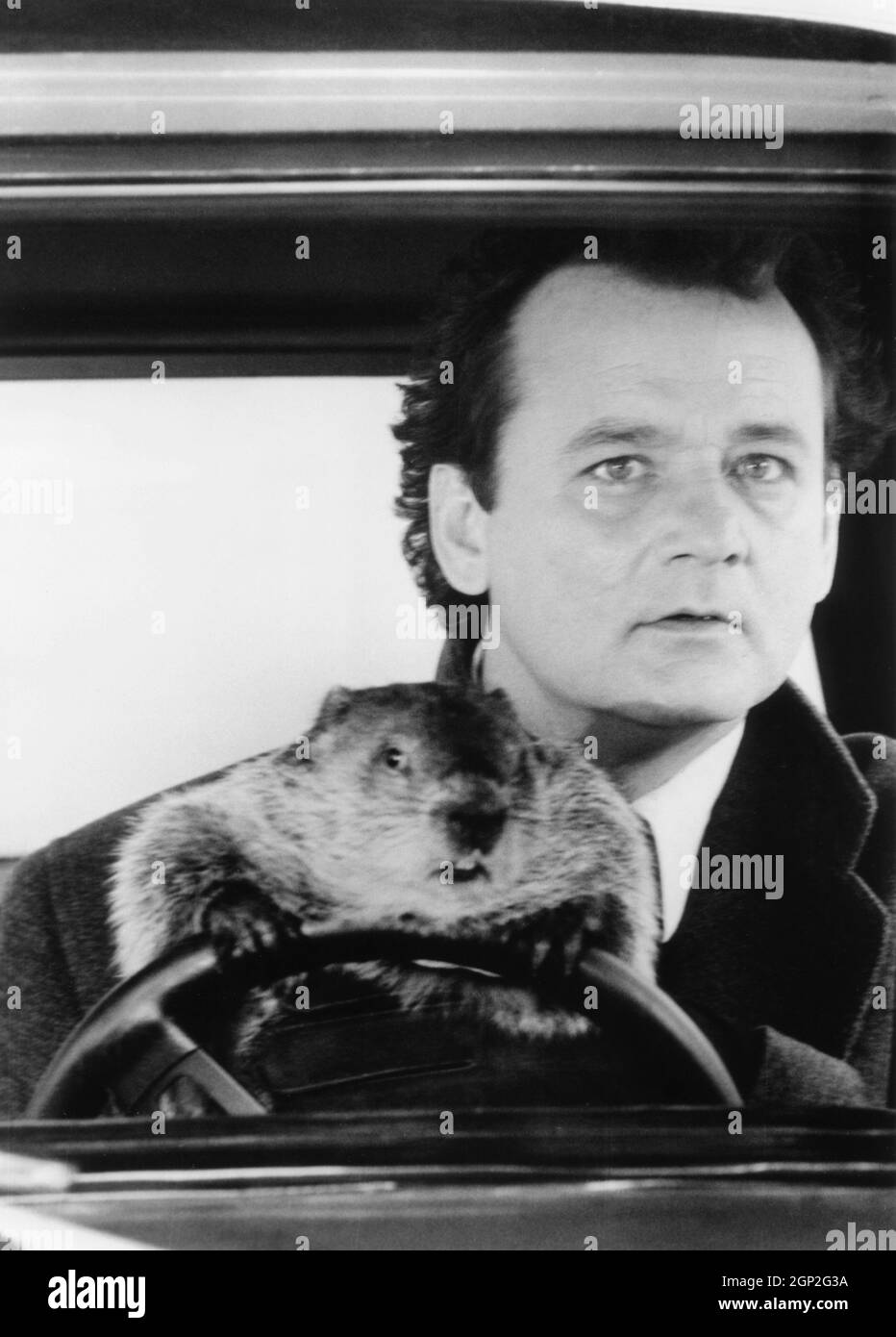 GROUNDHOG DAY, Bill Murray, 1993. © Columbia Pictures / Courtesy ...