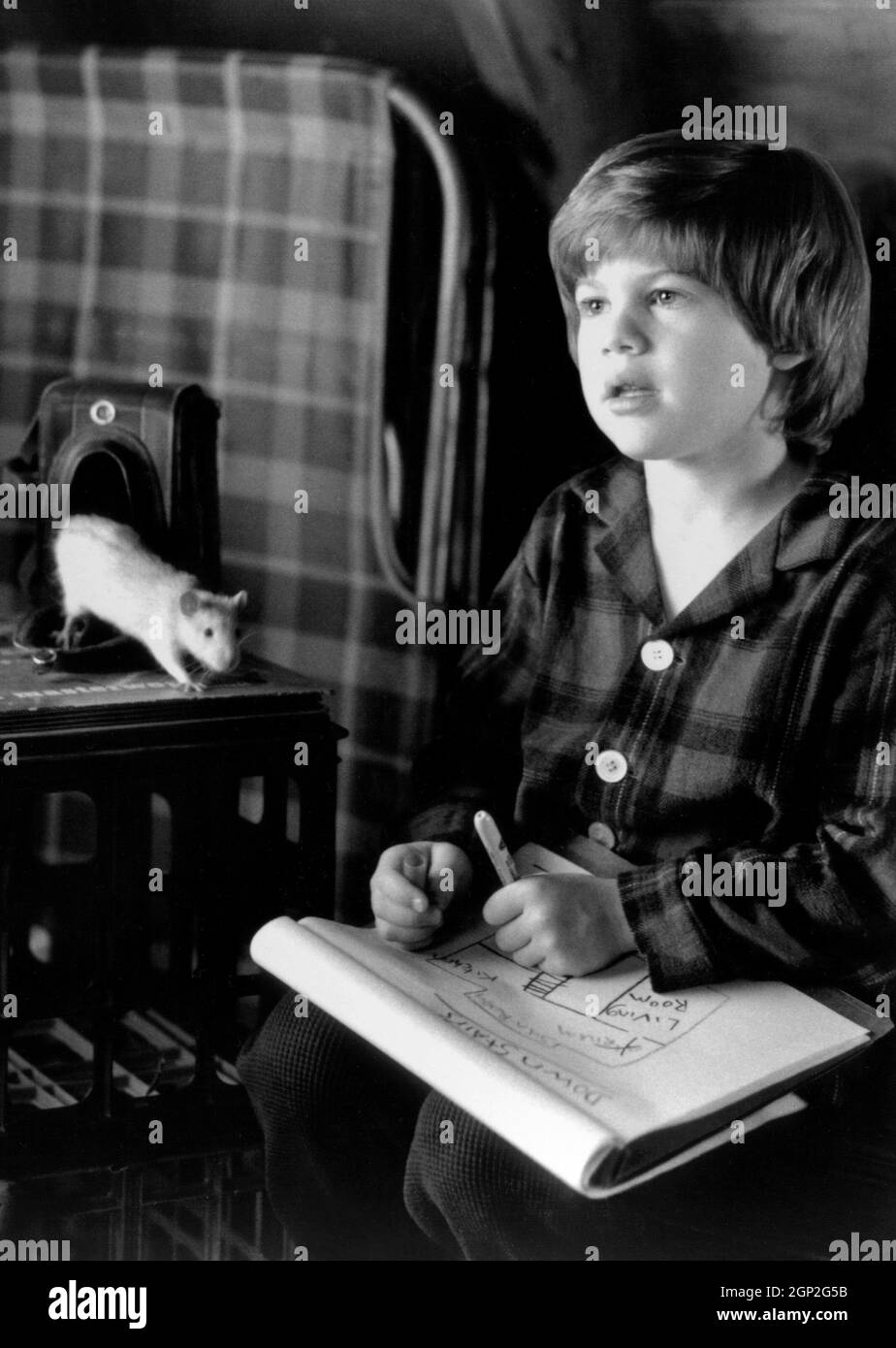 HOME ALONE 3, Alex. D. Linz, 1997. ph: Sam Emerson / TM and © 20th ...